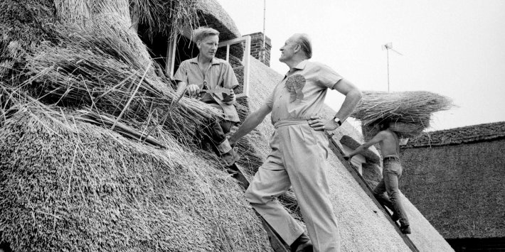 The House | Lord Lexden reviews: 'Bloody Panico! or, Whatever Happened ...