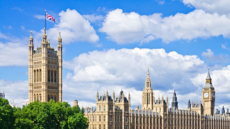Politics Home Article | The Fraught Process Behind Who Gets To Run To ...