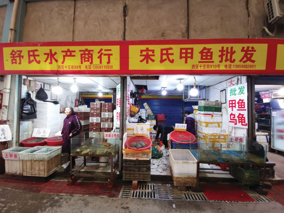 The House Opinion Article | Lords Diary: Viscount Ridley