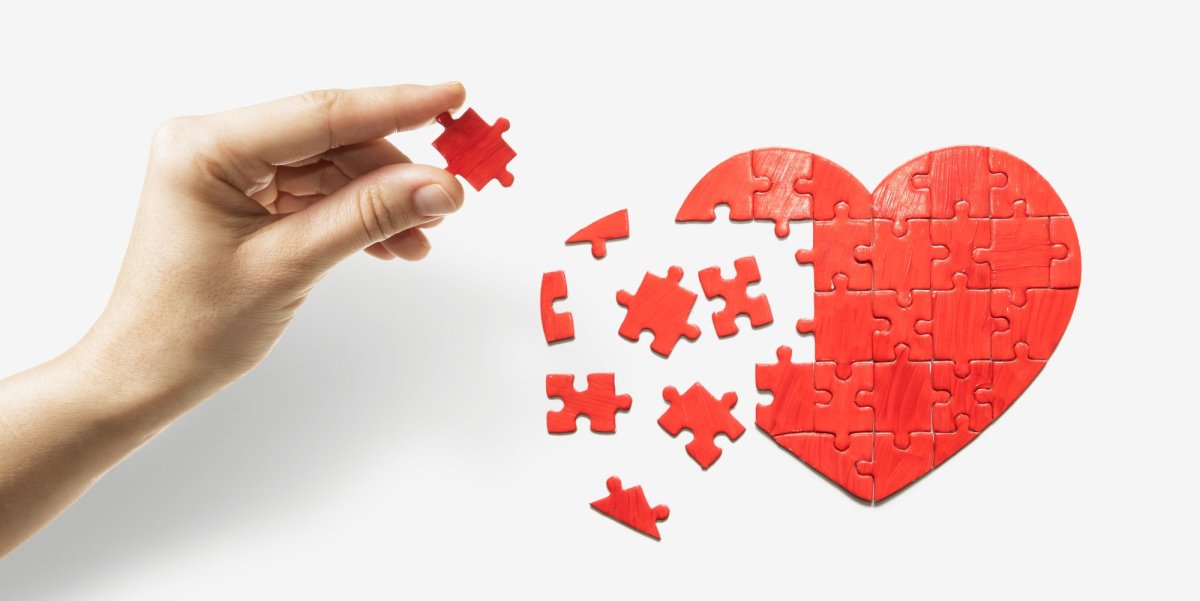 Politics Home Article | We need a heart disease action plan to end ...