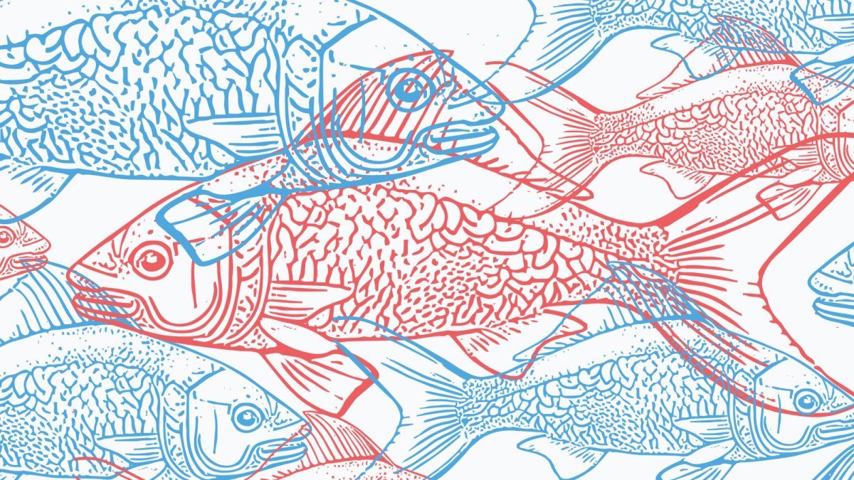 The House Opinion Article | A nuclear kettle of fish at Hinkley Point C