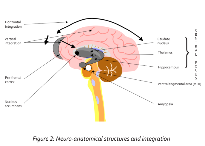A Proposed New Comprehensive Model of Consciousness and Emotion