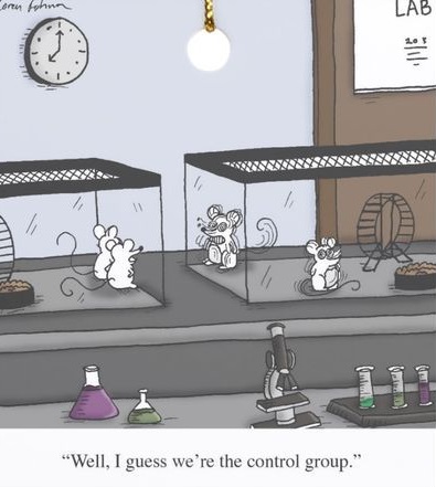 Therapy Cartoon Compilation - Light Humour - Psychology Jokes