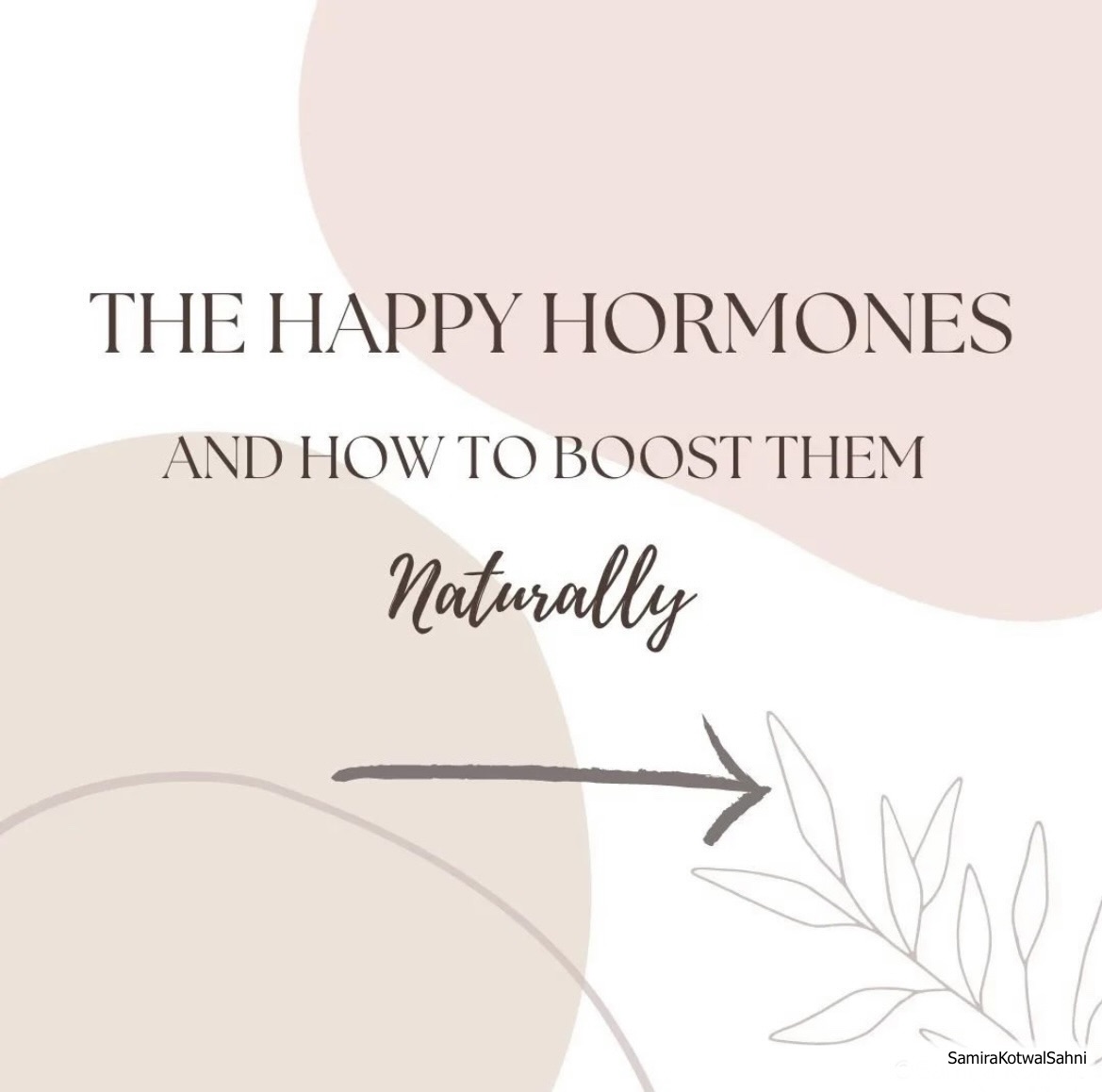 Happy Hormones | TherapyRoute