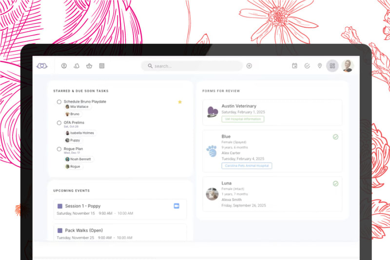 Install Fetch as a desktop app - Fetch