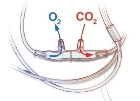 Rad-97 Pulse CO-Oximeter with NomoLine Capnography - Shop Today