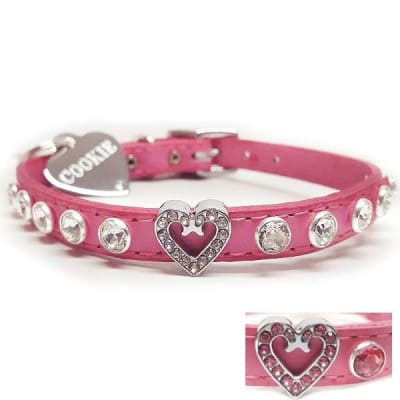 Extra Small Dog Collars | Toy breed | Puppy Collars