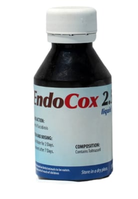 Canker Pigeons, Canker treatment for pigeons, trichominosas in pigeons ...