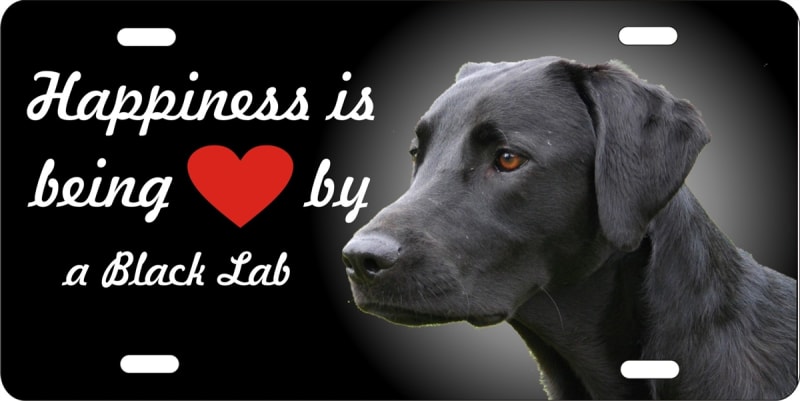 Happiness is being loved by a black Labrador Custom License Plates ...
