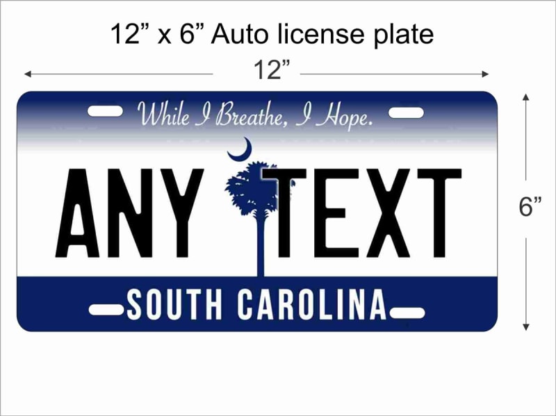 South Carolina replica License Plate personalized with your design ...