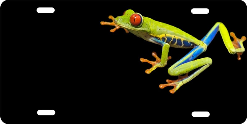 personalized novelty license plate frog Custom License Plates ...