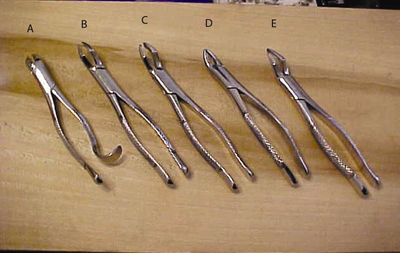 BB 162 Upper & Lower Incisors Cuspids, Bicuspids & Deciduous