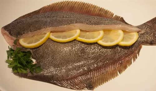 Online Seafood Store, Fresh Seafood, Shrimp, Charleston, SC