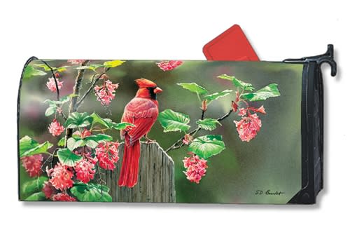 Cardinal Beauty MailWraps Mailbox Cover
