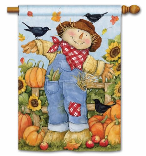Garden Scarecrow BreezeArt Standard House Flag