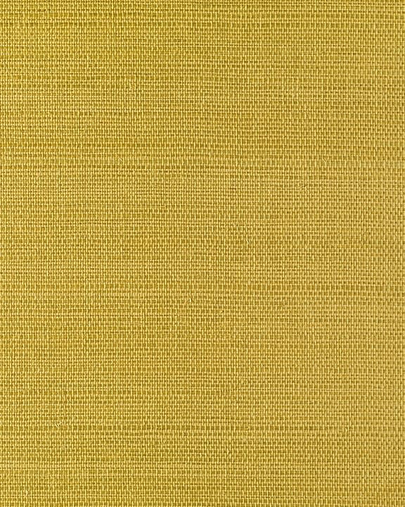 Sunny Gold Sisal Grasscloth - Shop Today