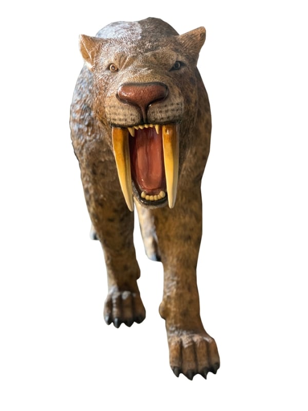 Saber Toothed Tiger LifeSize Statue in Hand-Painted Multicolored Finish ...