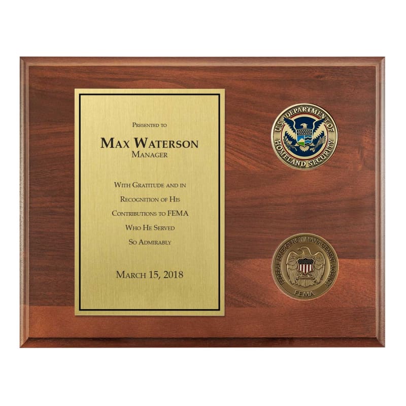 Coins Plaque (FEMA)