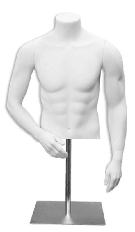 Male Half Torso Form Matte White | Mannequins Express
