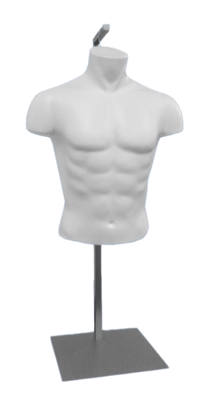 Male Torso Form in White