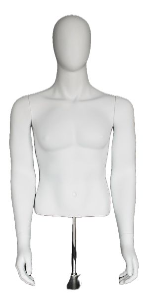 Male Torso Head Arms Base
