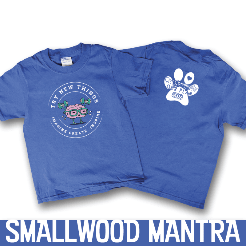 Try New Things royal blue tee shirt