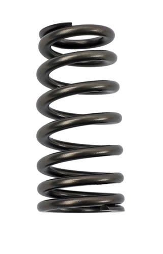 2V 4.6 5.4 OEM VALVE SPRING SINGLE