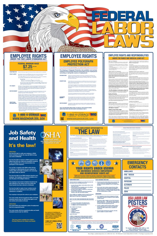 Combined Federal/State Labor Law Posters