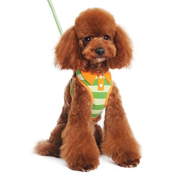 Striped Polo Small Dog Harness