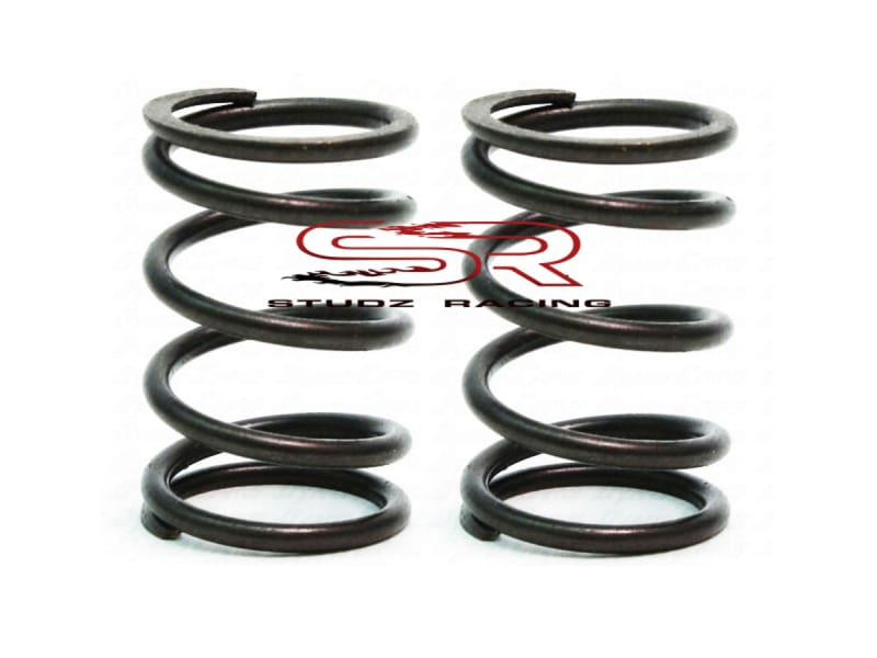 Valve Springs, 22 lb., Pair