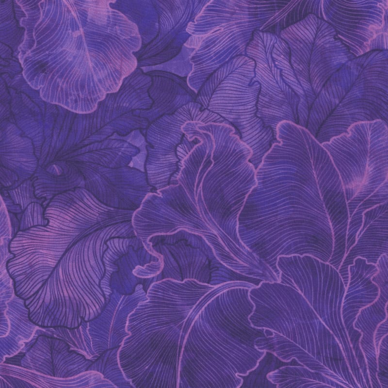 INFATUATION: DP28615-88 Iris Silhoues Purple Northcott Fabrics
