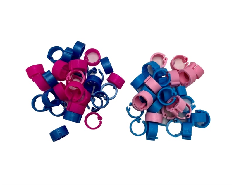 Removable Snap Bands - Blue/Pink