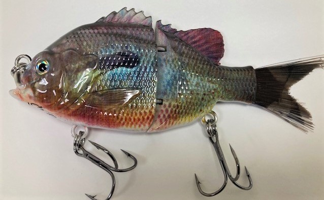 Glide Bream