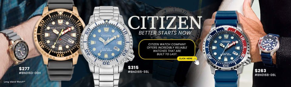 Affordable Watches You'll Wear | Island Watch