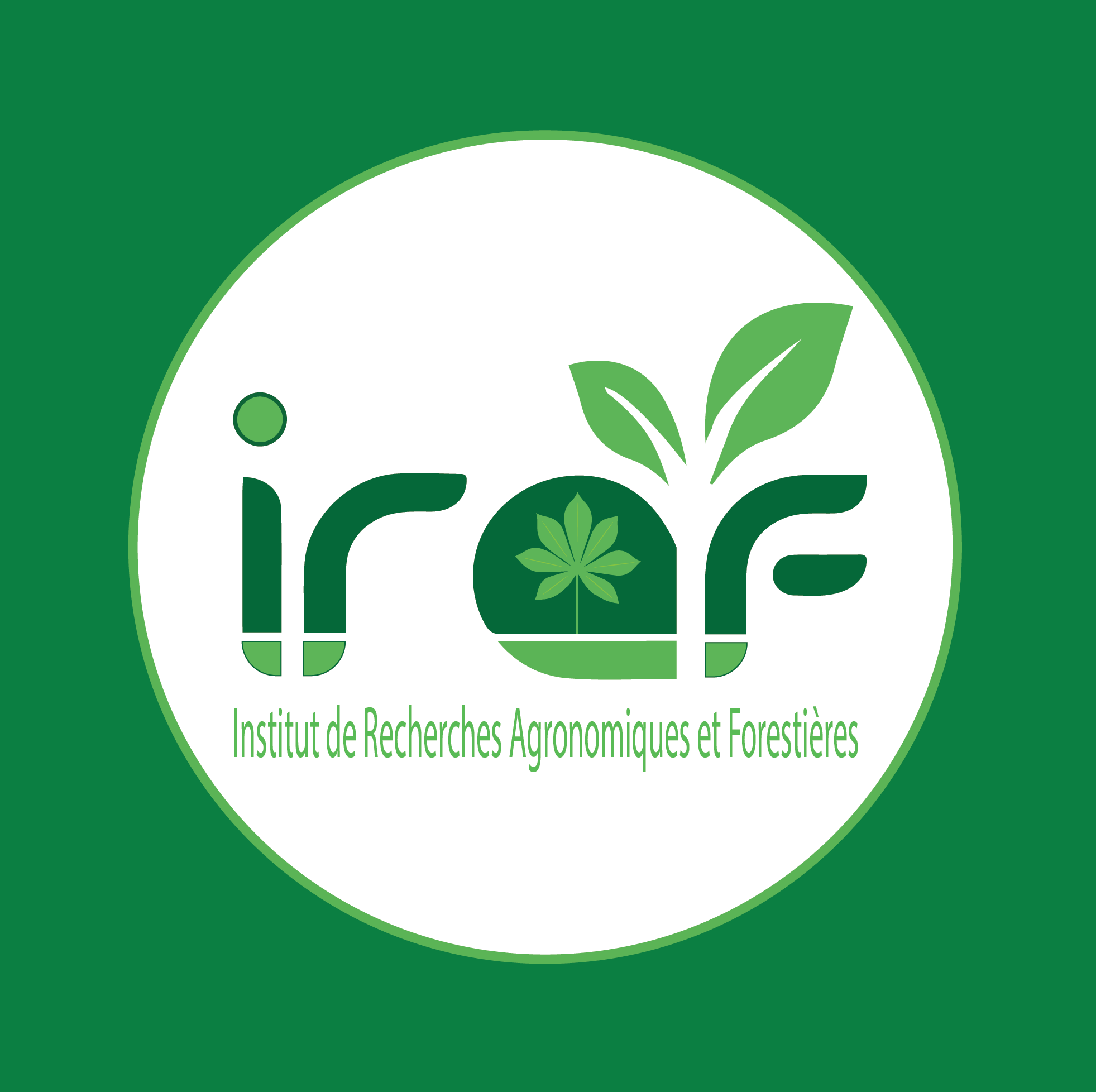 Institut de Recherches Technologiques