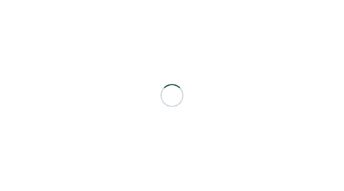 Frontend Mentor Ip Tracker Using Reactjs Coding Challenge Solution 5395