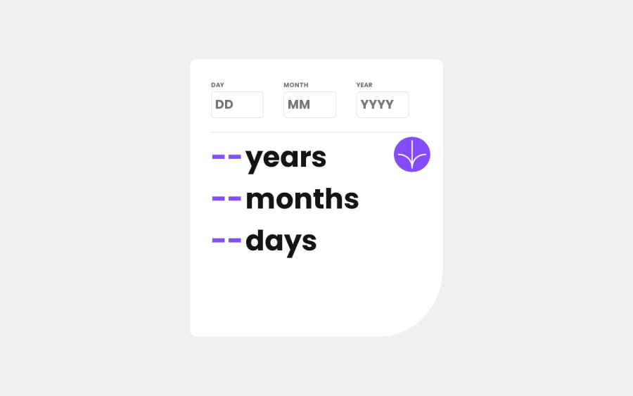 Frontend Mentor Using Reactjs And Css Coding Challenge Solution