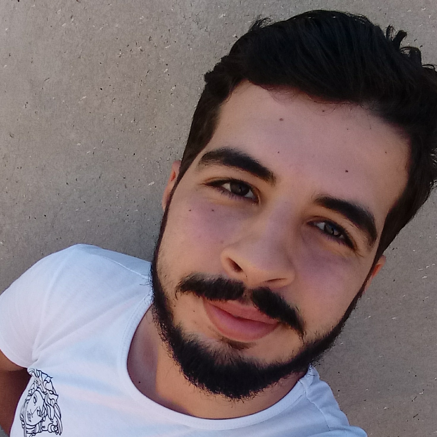 Frontend Mentor Mohamedsellami S Profile