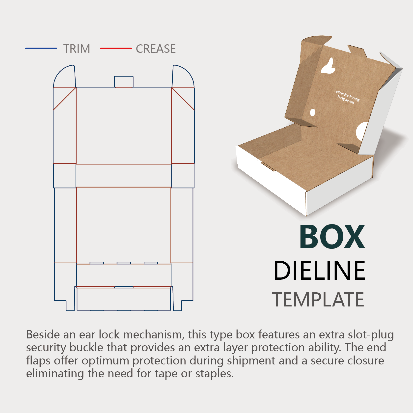 Ear-and-lock mailer box template(dieline) generator | cefBox
