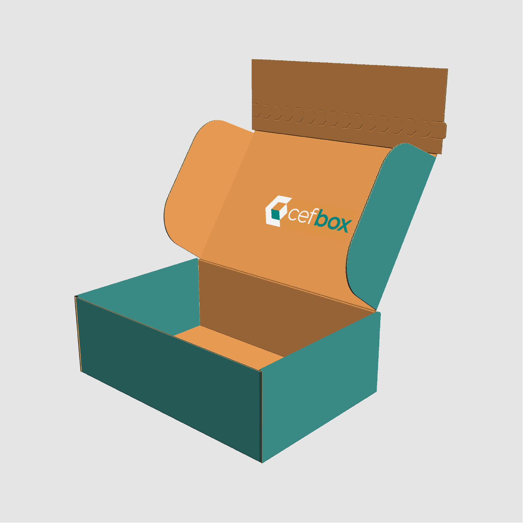 Custom Boxes, Custom Packaging & Box Design Templates | cefBox