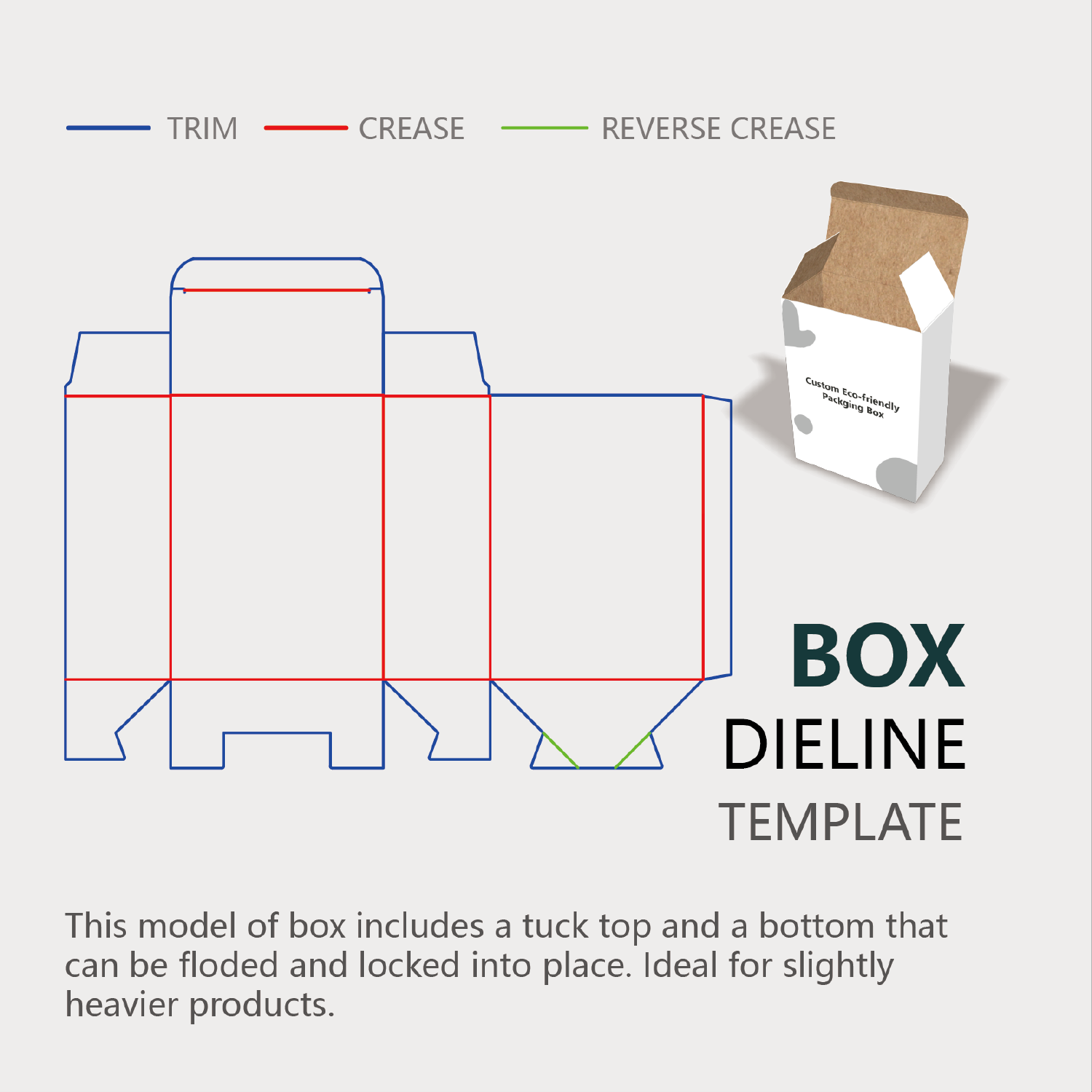 Folding Carton Box Design Templates, Dieline - Snap Lock Bottom | cefBox