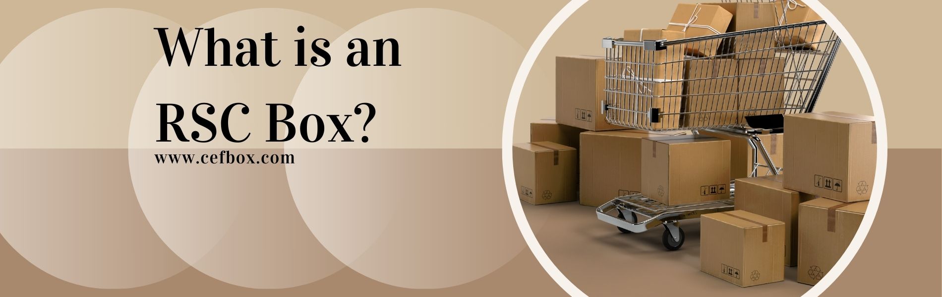 What is an RSC Box? A Complete Guide for Packaging Solutions | cefBox