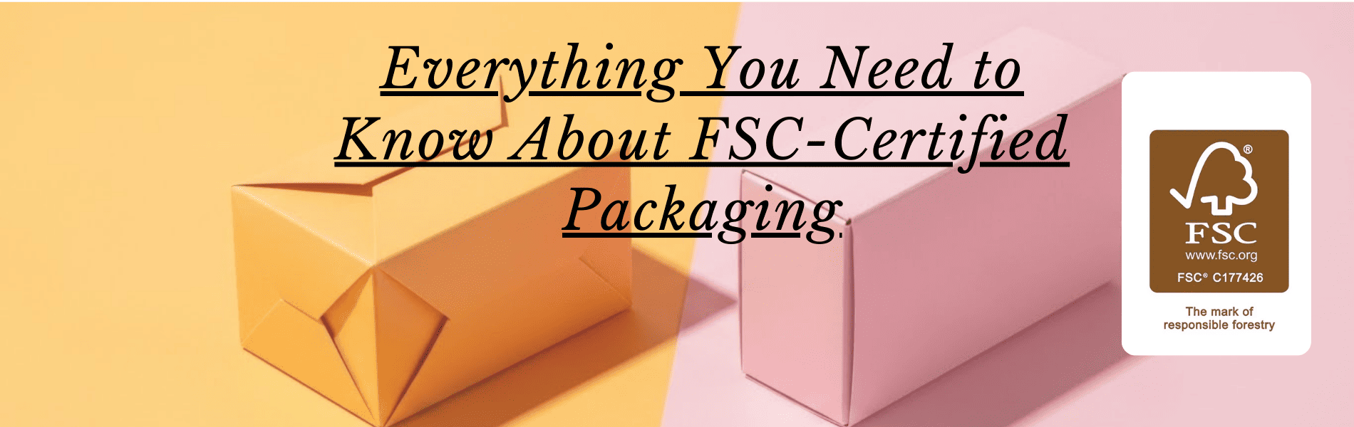 FSC Certified Packaging A Practical Guide for Businesses | cefBox