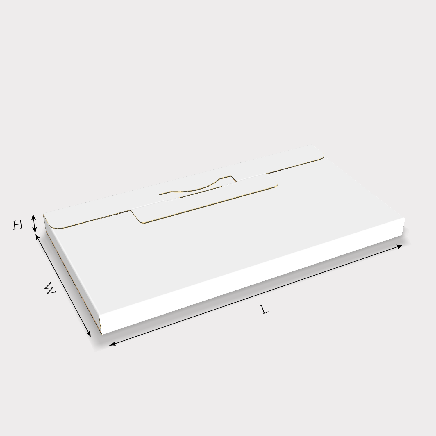 One-Piece Folder with Buckle Dieline Generator | cefBox