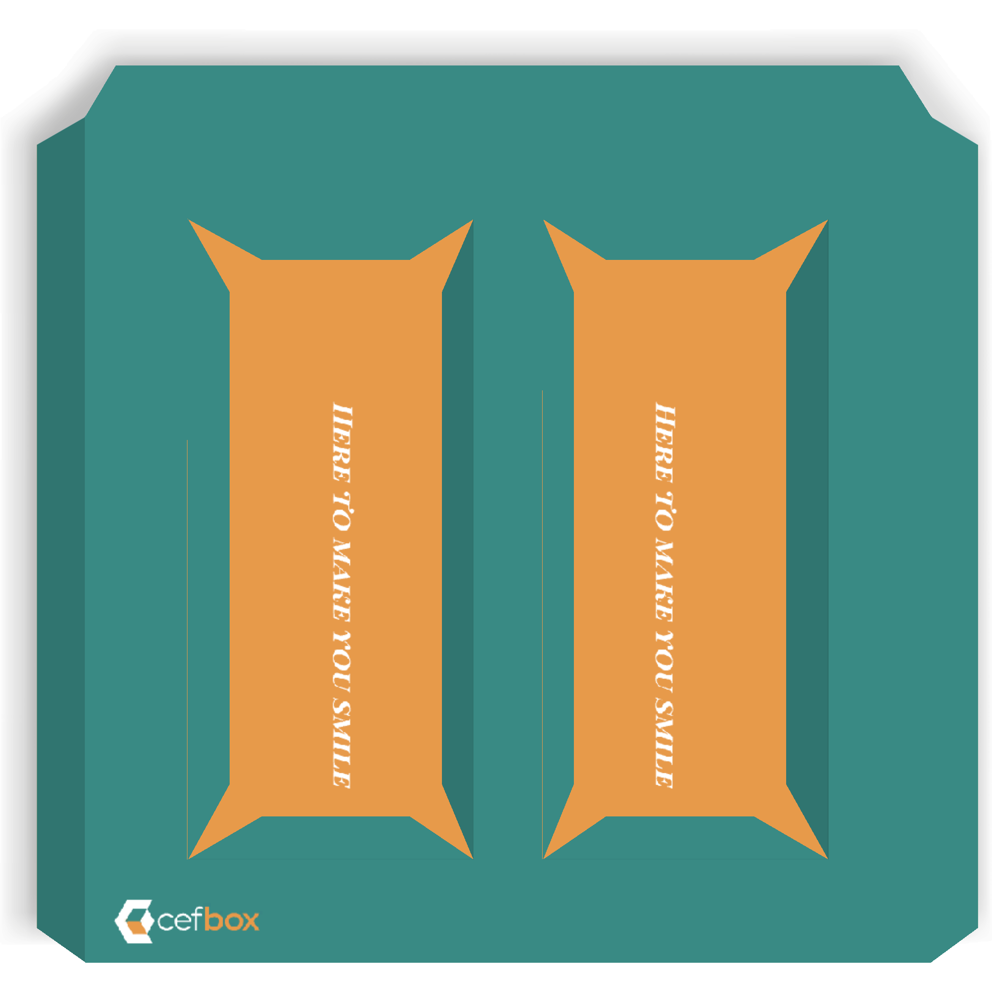 Custom Packaging Inserts with Printed on Both Sides | cefBox