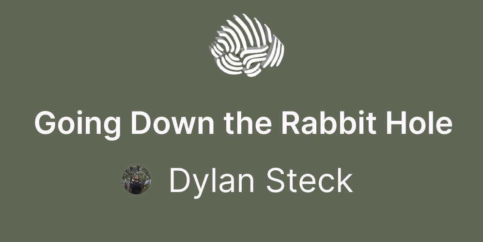 Going Down the Rabbit Hole | Dylan Steck | Dylan Steck