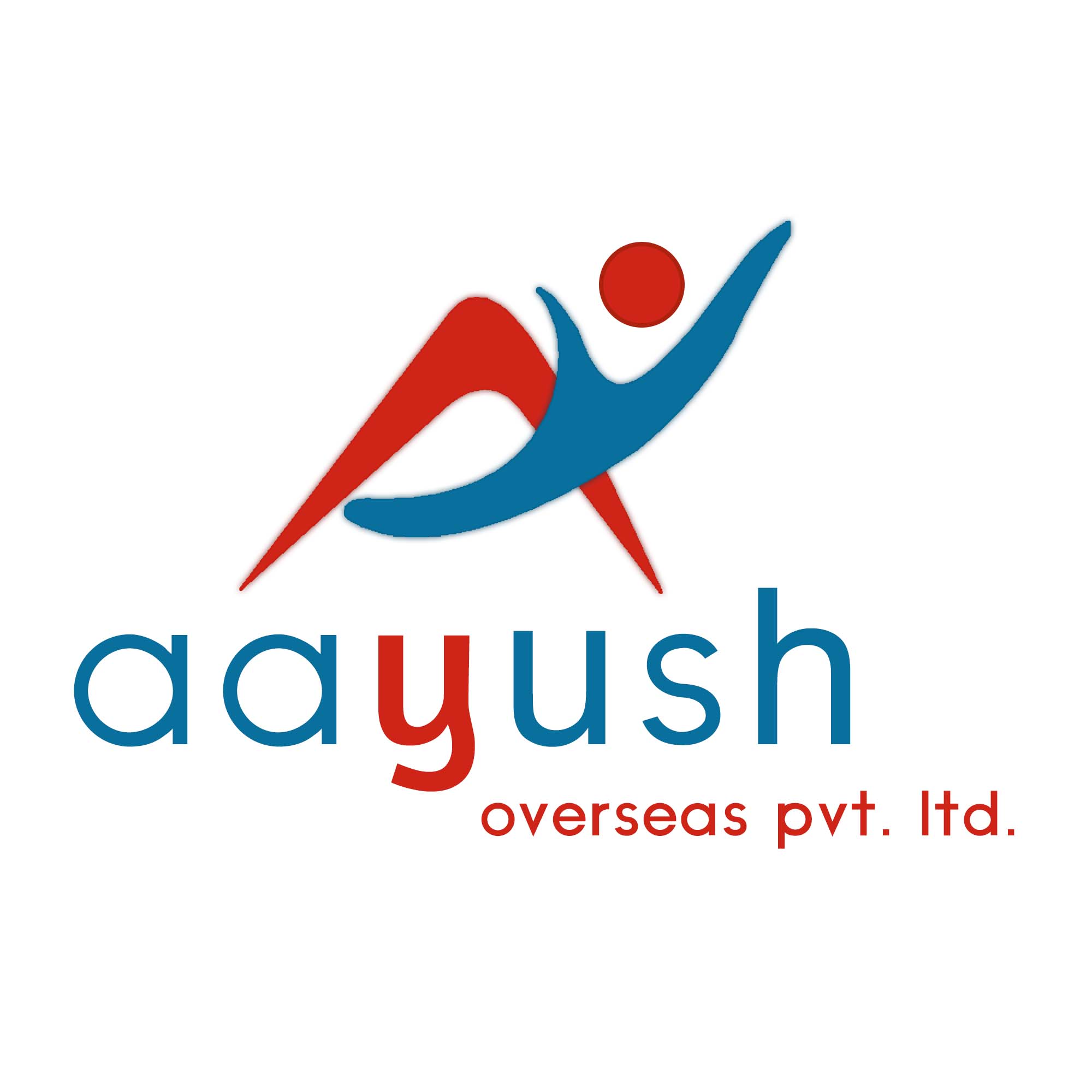 Navi Infosys – IT & Digital Marketing Solutions