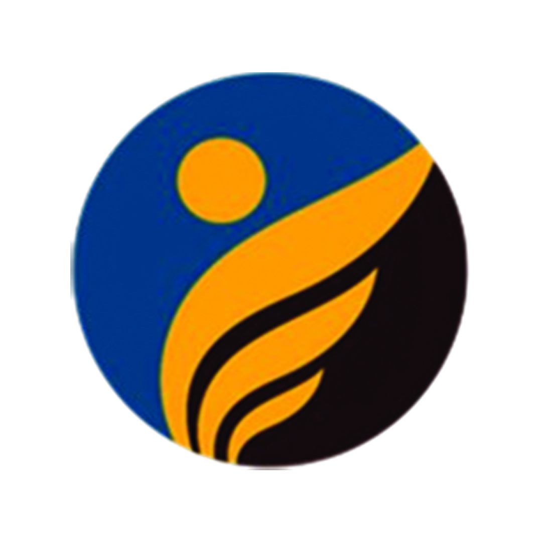 Navi Infosys – IT & Digital Marketing Solutions
