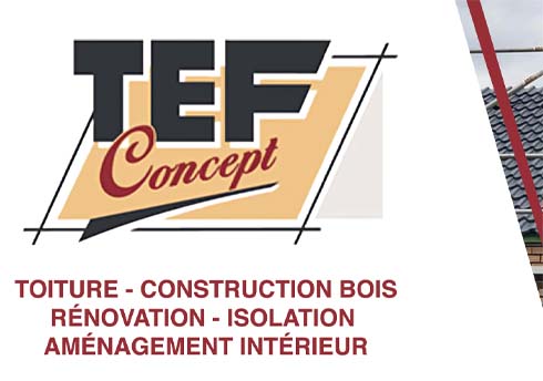 TEF Concept