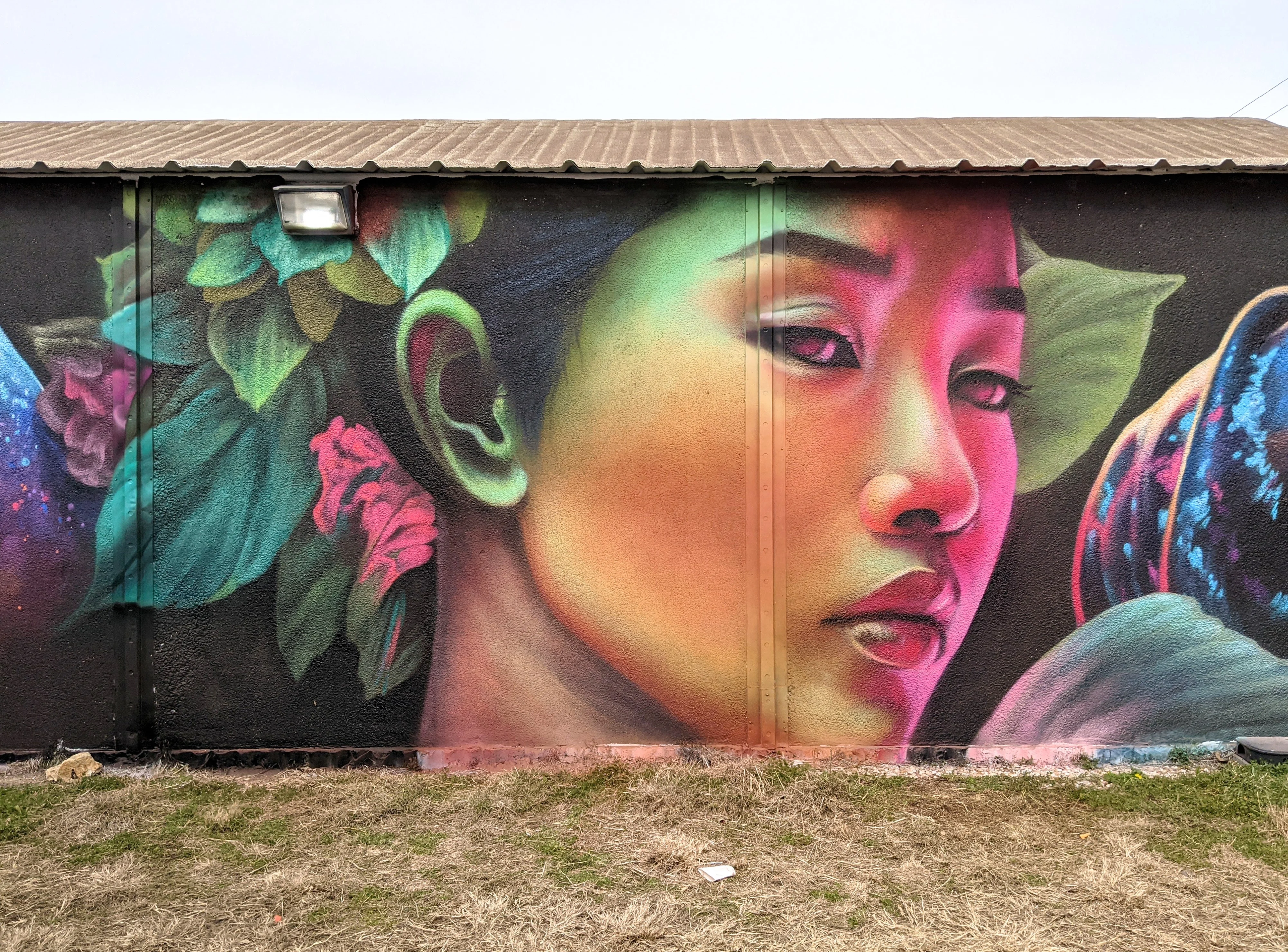 Rewilding by Candy Kuo | WXLLSPACE